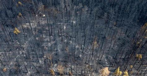 Smoke From Out Of Control Canadian Wildfires Drifts Across U S Skies