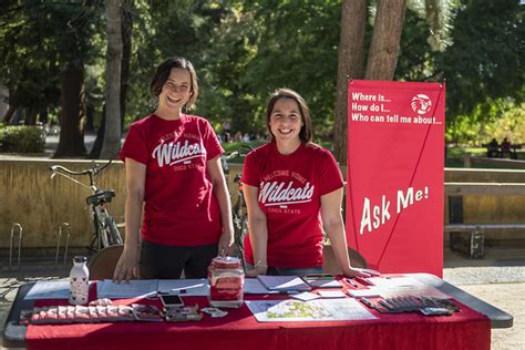 ask me tables staff council csu chico