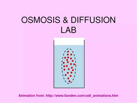 Ppt Osmosis And Diffusion Lab Powerpoint Presentation Free Download