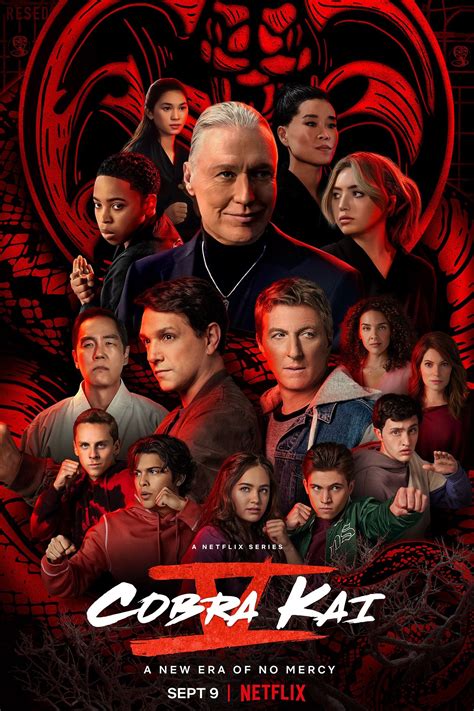 Cobra Kai Season 6 Trailer Shows Miyagi Do And Eagle Fangs Epic Training
