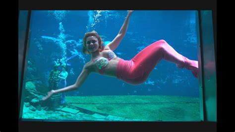 How Do Mermaids Breathe Underwater New Update