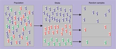 stratified sampling used when the entire population can be divided