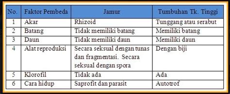 Perbedaan Jamur Dan Tumbuhan Homecare24