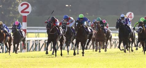 【菊花賞2022予想】本命馬5選と穴馬5選・コース解説と適性馬5選・血統馬5選・過去10年データ分析と菊花賞傾向 3連単 ｜ 3連単6点勝負