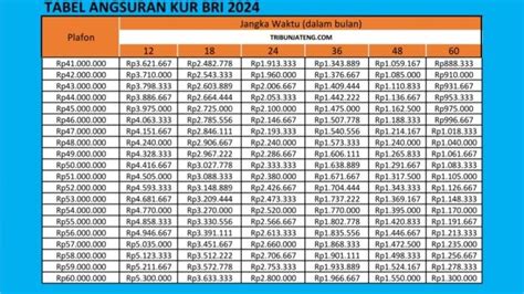 Tabel Pinjaman Bri Non Kur Dan Kur 7 Des 2024 Pinjam Rp 30 Juta