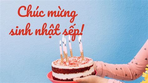 1001 Lời Chúc Mừng Sinh Nhật Sếp Hay ý Nghĩa And ấn Tượng Nhất