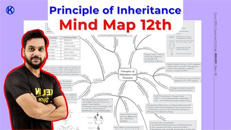 principles of inheritance and variation class 12 biology mind map