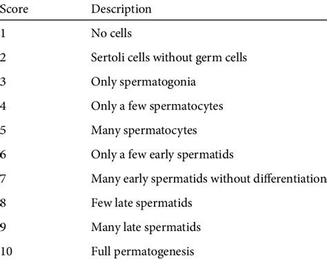Testicular Biopsy Scores Mtbs Download Table