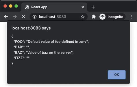 javascript using environment variables in react application stack