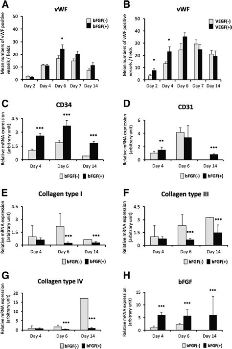 Basic Fibroblast Growth Factor Induces Angiogenic Properties Of