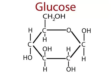 Sugar Examples Of Glucose At Sandra Poole Blog