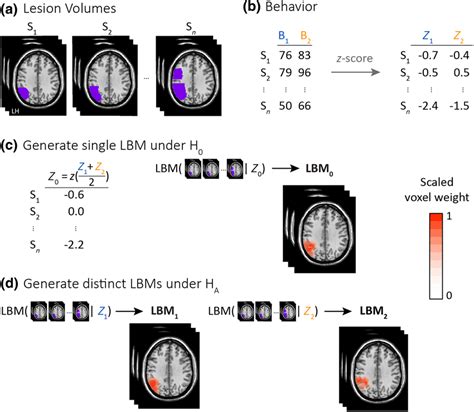 Model Building Phase In The Predictive Validity Comparison Pvc