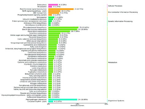 Kegg Classification Map Of Differentially Expressed Genes Download