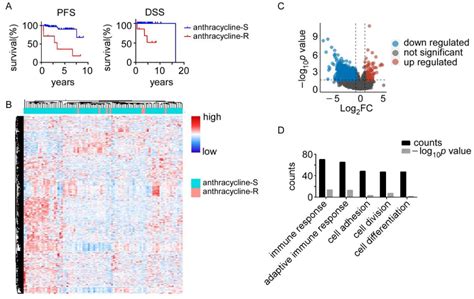 Biomolecules Free Full Text Comprehensive Analysis Of