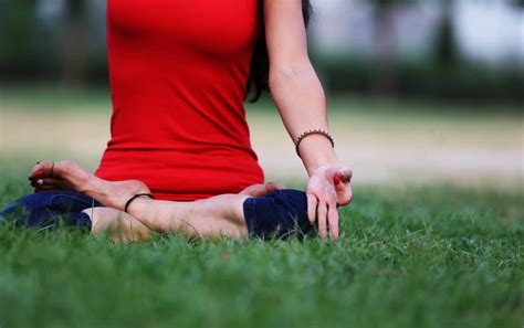 The Lotus Position Exploring The Archetypal Asana