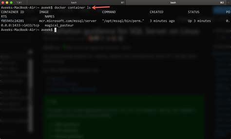 how to set up and run sql server docker image