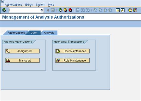 analysis authorizations free sap online training tutorial