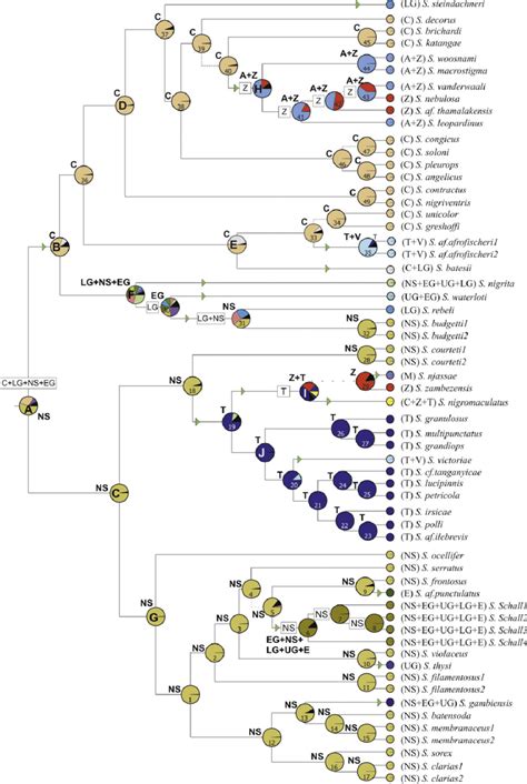 Ancestral Area Reconstruction Using Rasp Green Arrows Indicate