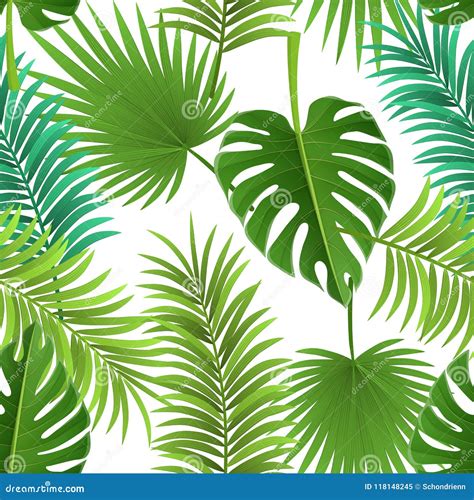 Palm Leaf Seamless Pattern For Tropical Background Stock Vector