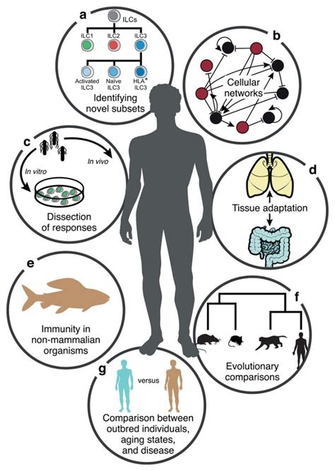 Single Cell Transcriptomics To Explore The Immune System In Health And
