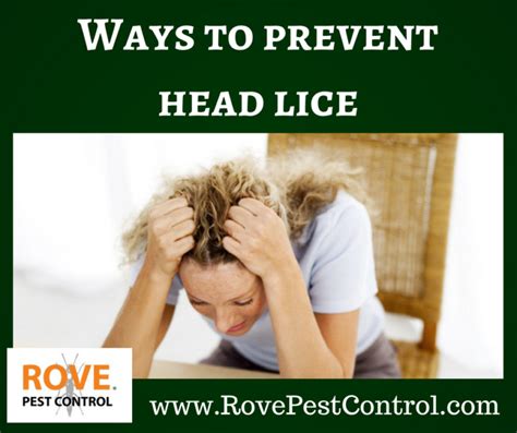 Ways To Prevent Head Lice Rove Pest Control