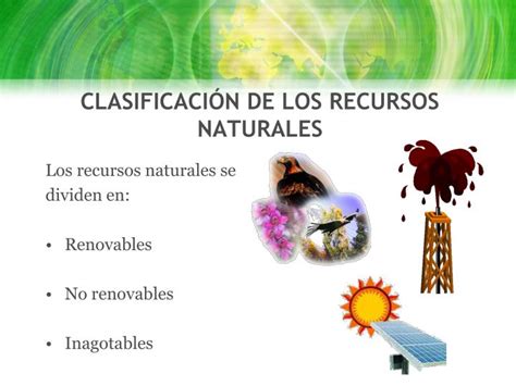 Recursos Naturales Con Ejemplos Tipos De Recursos Naturales Recursos
