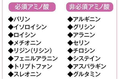 大人の元気とキレイをつくる「アミノ酸」学／知識編美容や健康に大切なアミノ酸の働きとは？