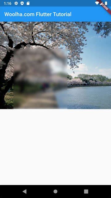 hướng dẫn sử dụng hiệu quả background blur flutter trong ứng dụng của bạn