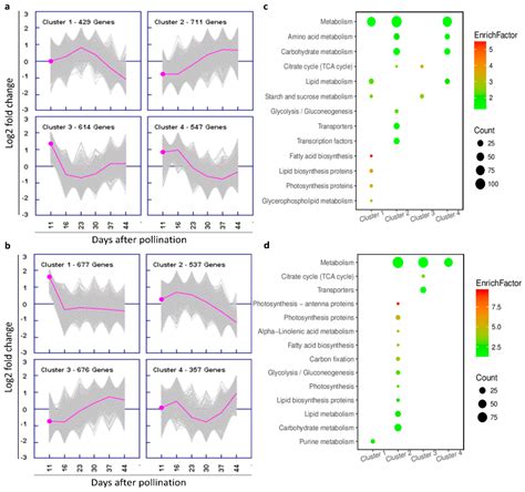 Ijms Free Full Text Comparative Transcriptome Analysis Of