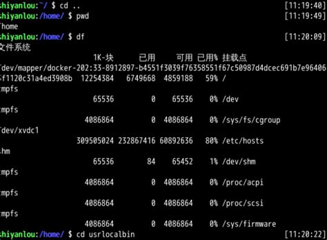linux 目录结构及文件基本操作 蓝桥云课