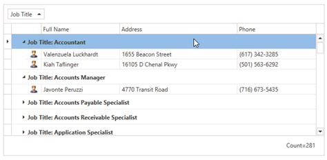 dataviewbase allowsorteddatadragdrop property wpf controls
