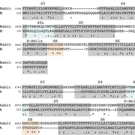 sequence alignments used in construction of structural models of open
