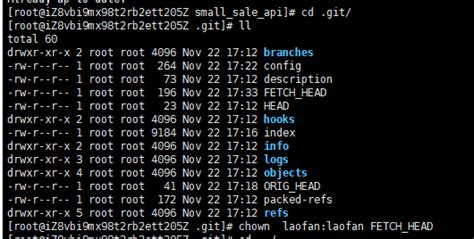 【git】 git fetch head permission denied 的解决方法