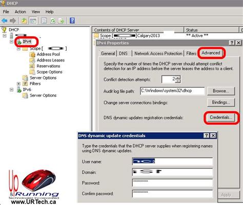 solved reverse dns entries are not being added automatically event
