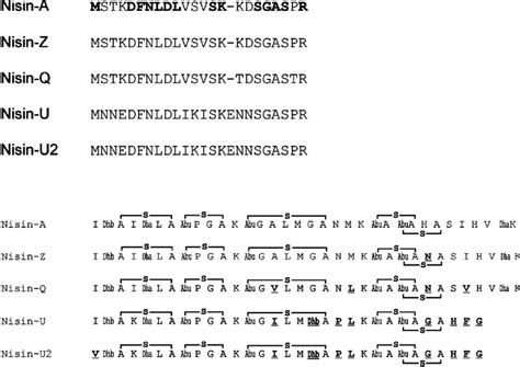 Leader Sequences And Structures Of Nisin A Nisin Z And Proposed