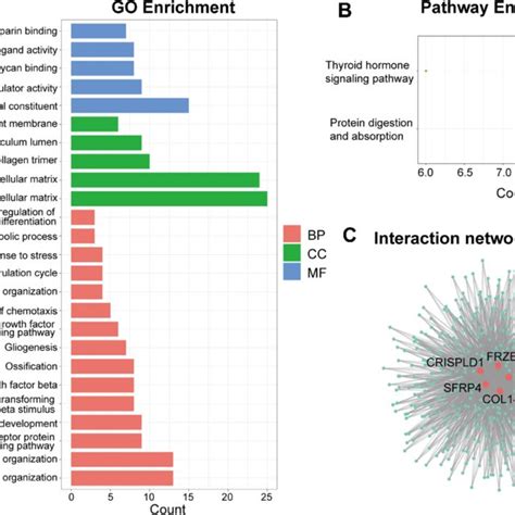 Functional Enrichment Analysis Of The Blue Modules And Identification