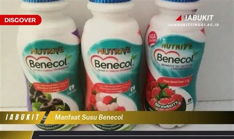 Temukan 7 Manfaat Susu Benecol Yang Bikin Kamu Penasaran Discover