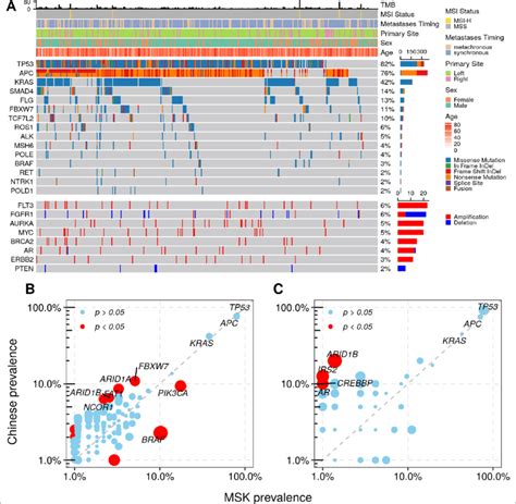 the genomic landscape of chinese crlm a recurrent mutations and cnvs