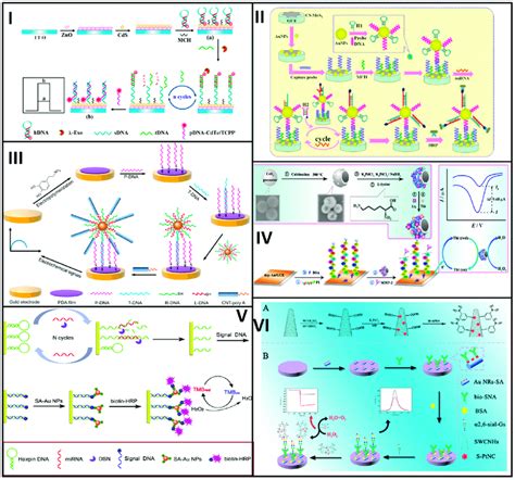 Schematic Illustration Of An Electrochemical Biosensor Based On
