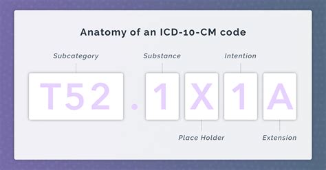 Icd Cm A Guide To The International Classification System Imo My Xxx