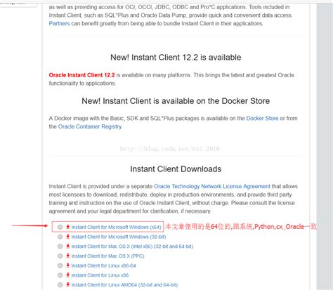 python——安装cx oracle 稚人 博客园
