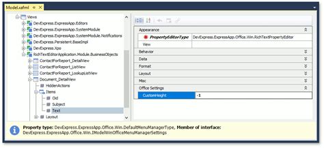 how to customize the rich text editors expressapp framework