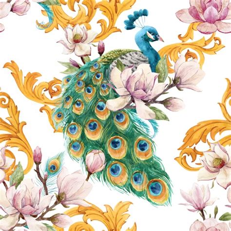 Peacock Stock Vector Image By ©zeninaasya 66891895