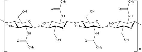 chitin
