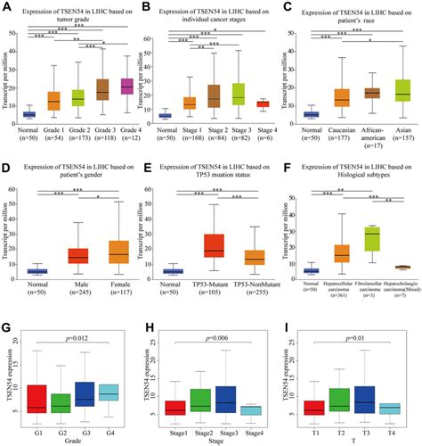 Tsen54 Expression Is Associated With Multiple Clinicopathological