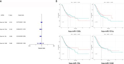 Frontiers Identification Of Key Circulating Exosomal Micrornas In