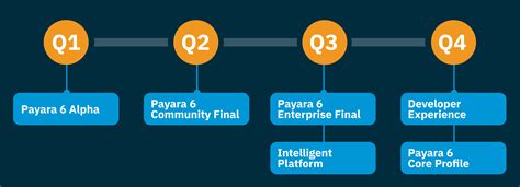 payara platform in 2022