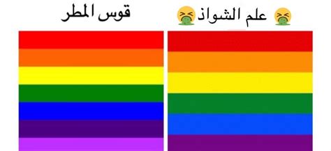 ما الفرق بين الوان الطيف وشعار المثليين؟ موسوعة الشامل
