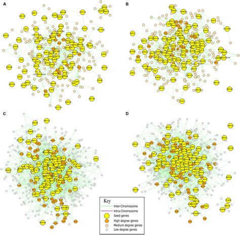 gene clustering analysis neighborhood graphs of the