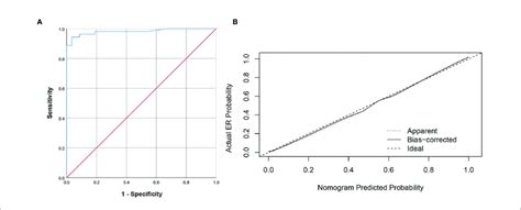 The Roc Curve And Calibration Curves For The Radiomics Nomogram A